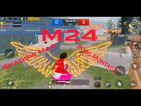 Shadow Haq | Ez M24 | Two Tone | :\\