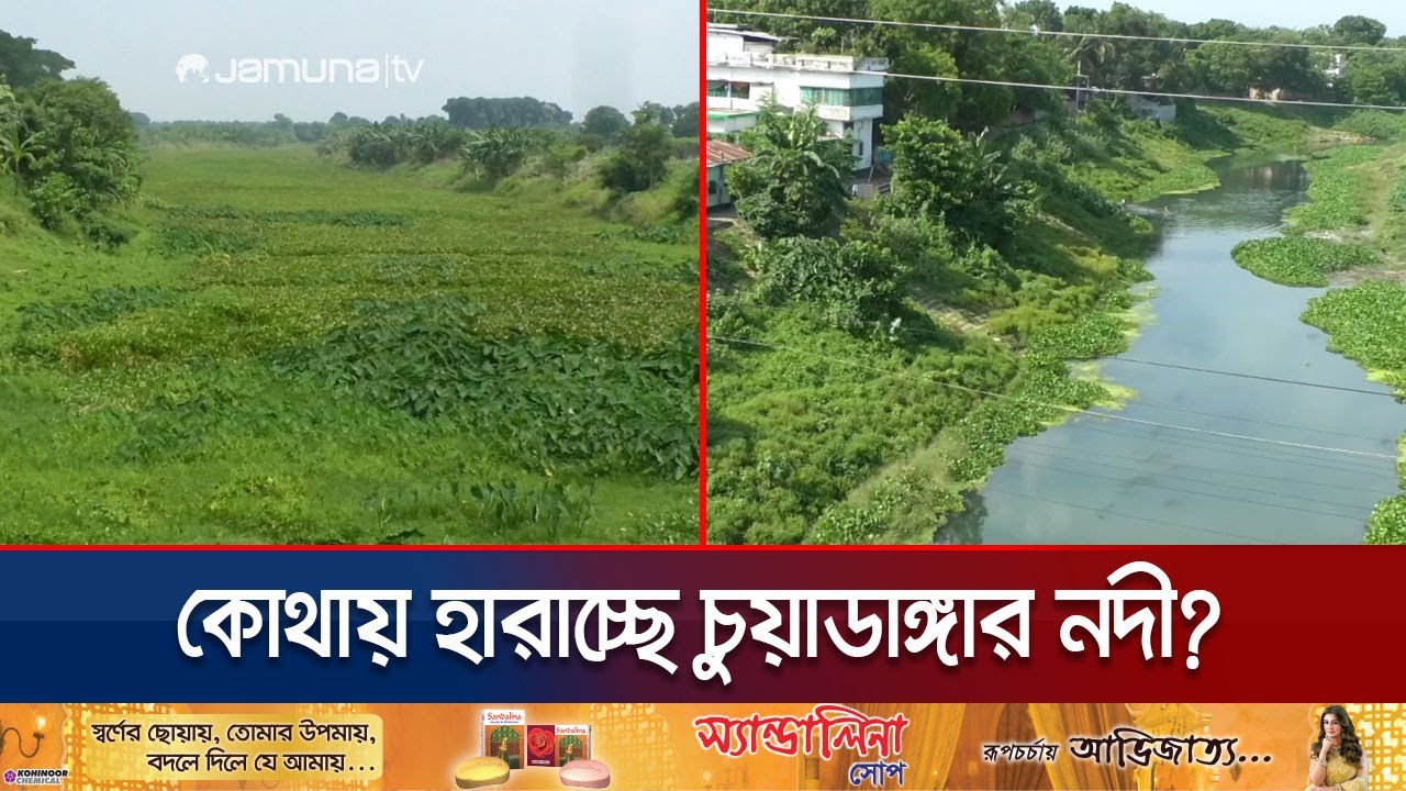 ভরা বর্ষায়ও পানি নেই চুয়াডাঙ্গার নদীতে; রূপ নিয়েছে খালে | Chuadanga ...