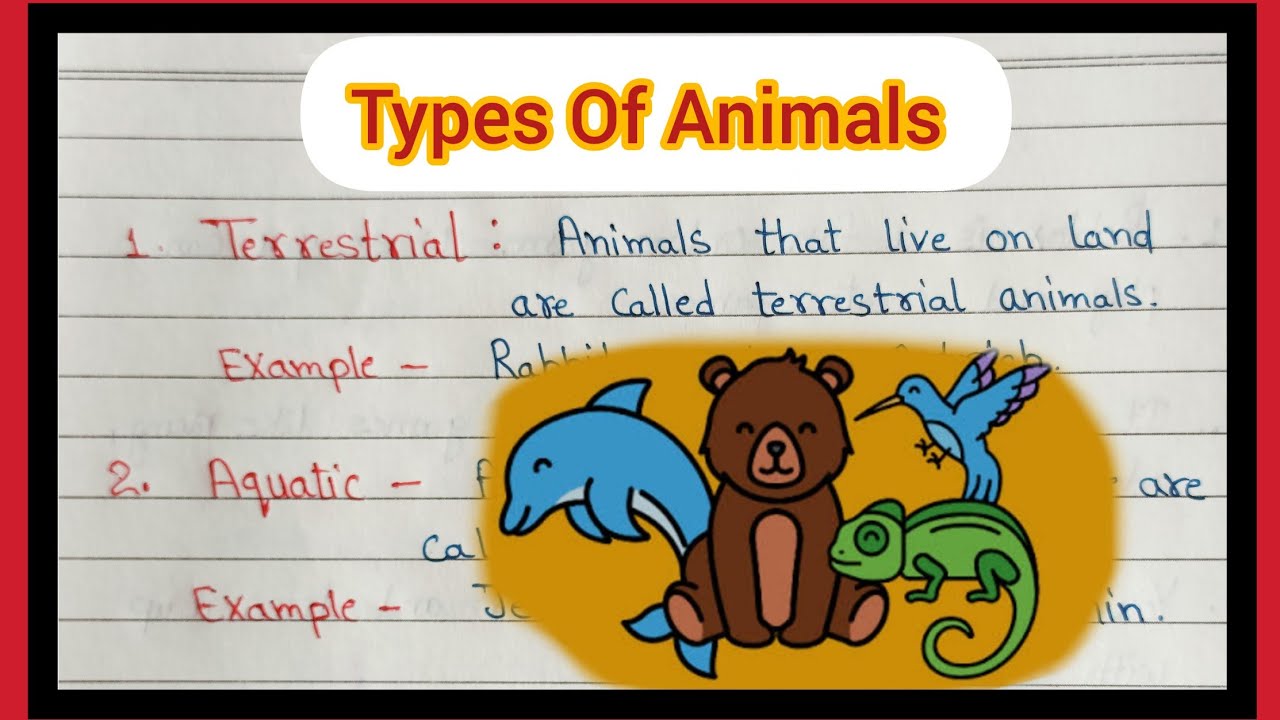 Types Of Animals||Animals Classification|| Types of Animals Project ...