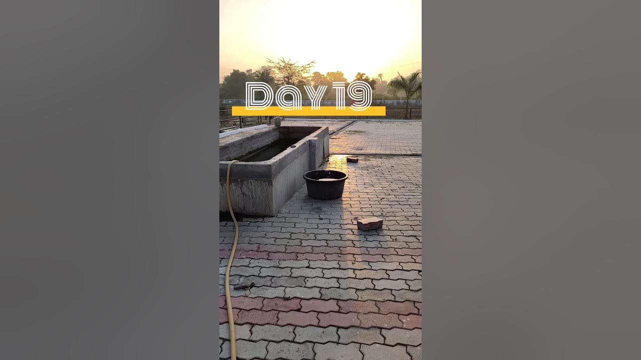 Mini vlog Day 19 #minivlog #vlog #vlogger #vloglife #vlogging #vloger #reels #blogger #instagood ...