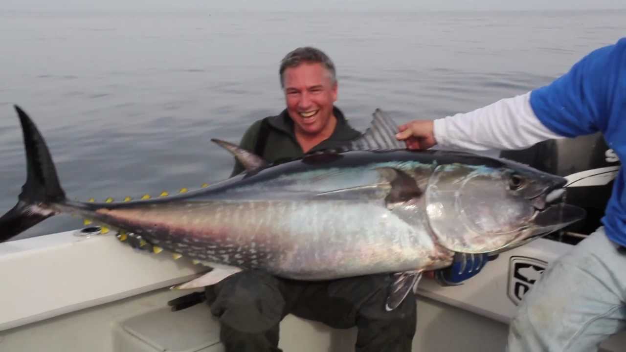 Bluefin Tuna, Heavy fight on light tackle in Cape Cod - YouTube