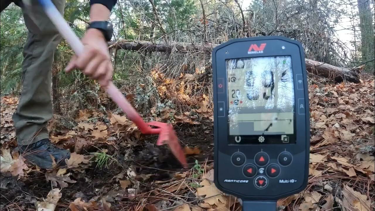 hunting with minelab manticore in the woods .. - YouTube