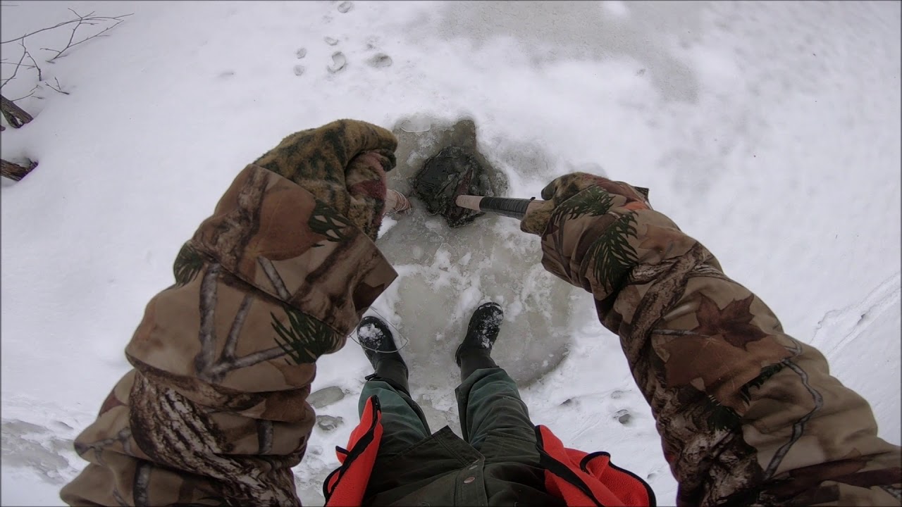 trapping 101 highlights 18 - YouTube