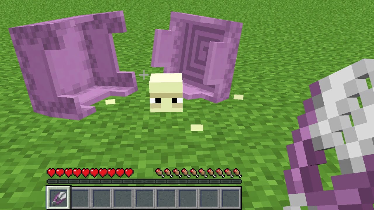 ich habe den shulker aus seiner schale geholt in Minecraft - YouTube