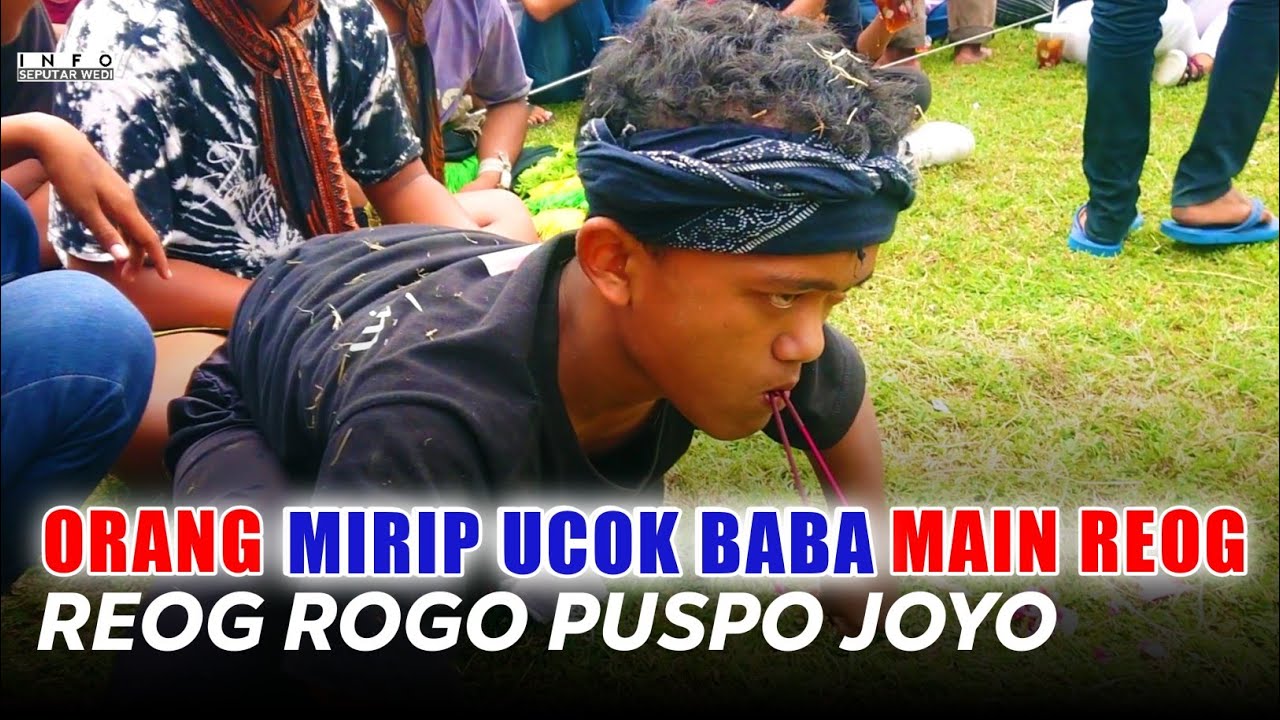 Ada Ucok Baba Main Jathilan, Reog Rogo Puspo Joyo Live Jomboran Ceper ...