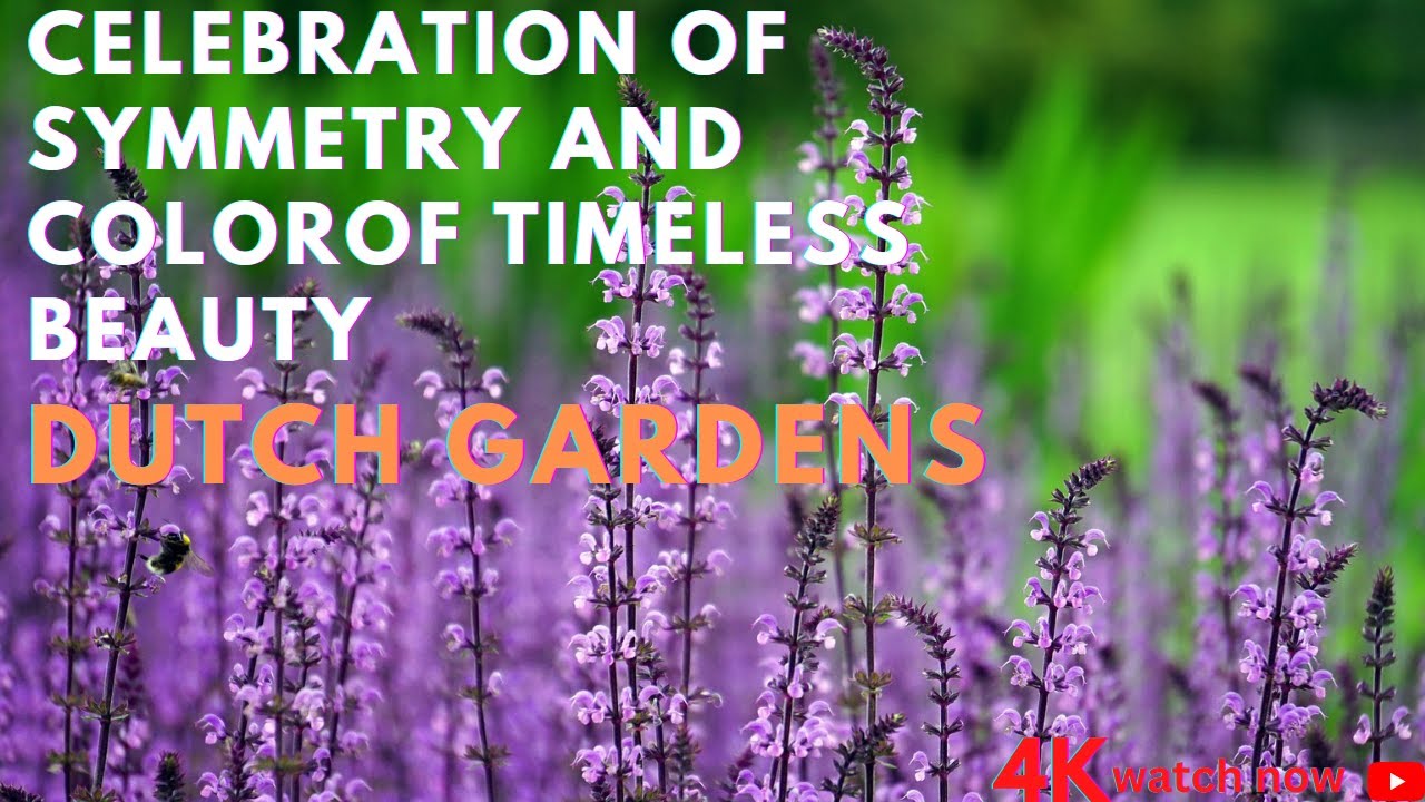 Exploring the Beauty of Dutch Gardens |Dutch Gardens||4K||Subtitles ...