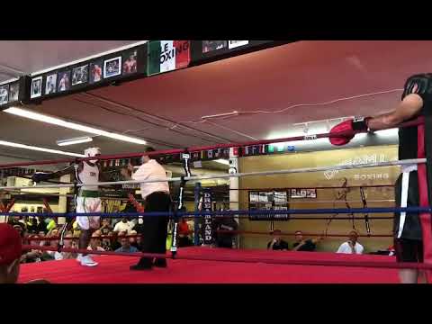 71 year old stuntman Rick Avery scores brutal Knockout Dreamland Boxing ...