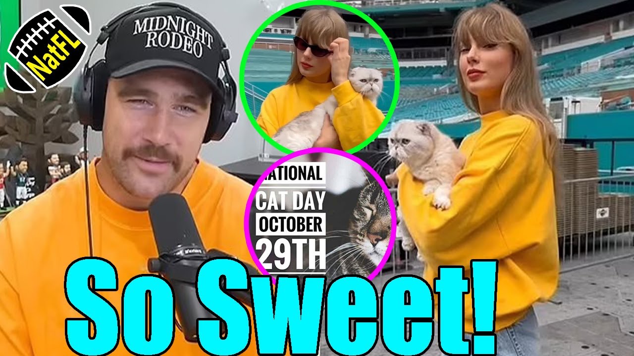 SO SWEET! Taylor Swift & BF Travis Kelce will Adopt another CAT on ...