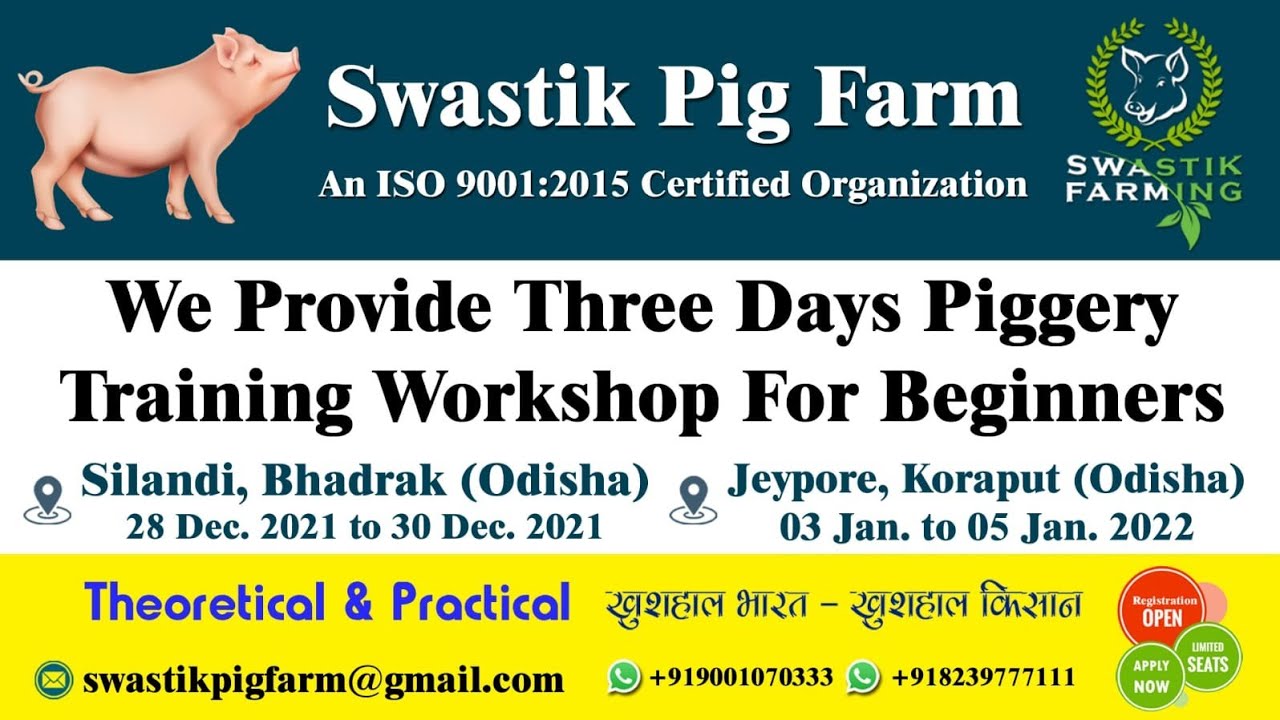 Piggery Trainings in Odisha || Swastik Pig Farm - YouTube