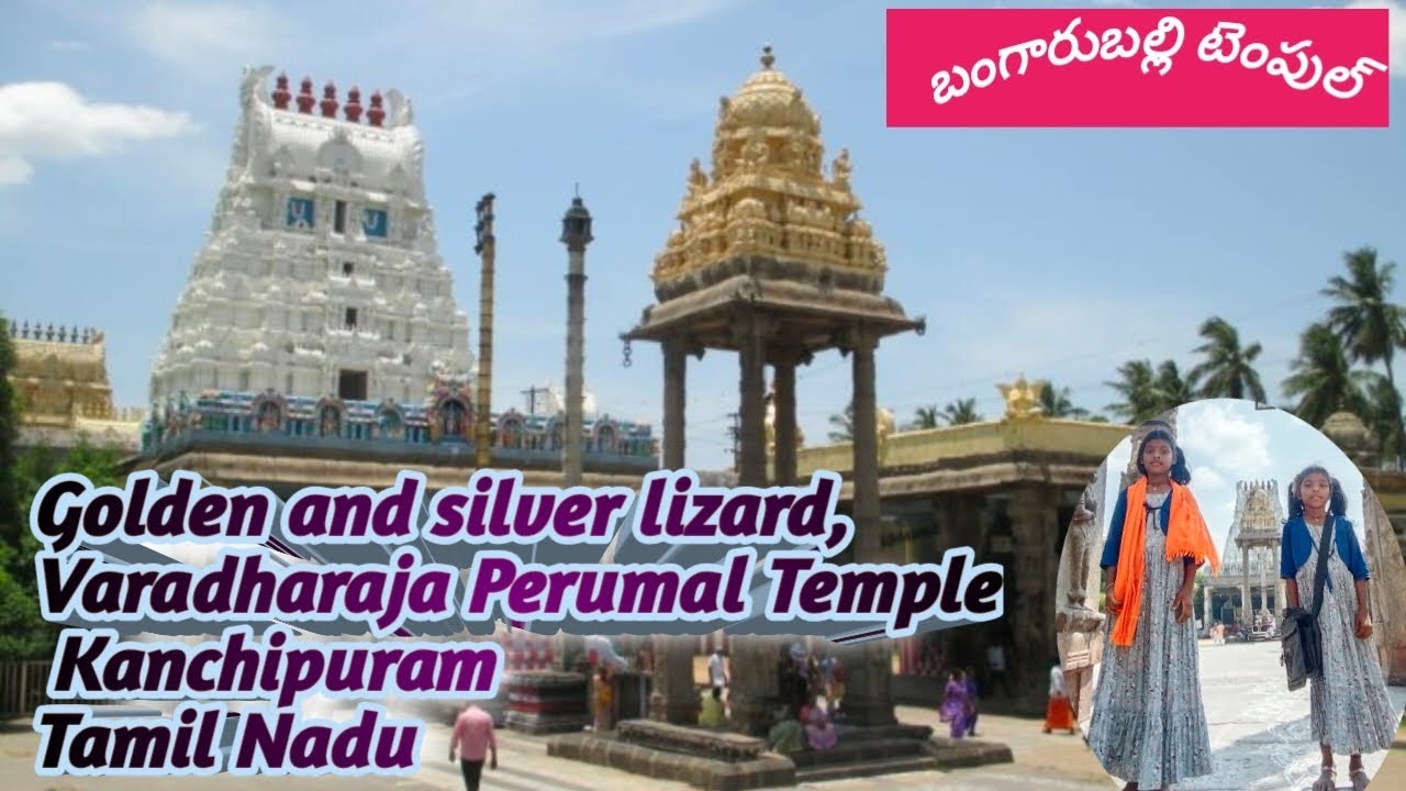 బంగారుబల్లి టెంపుల్ Golden and silver lizard, Varadharaja Perumal ...
