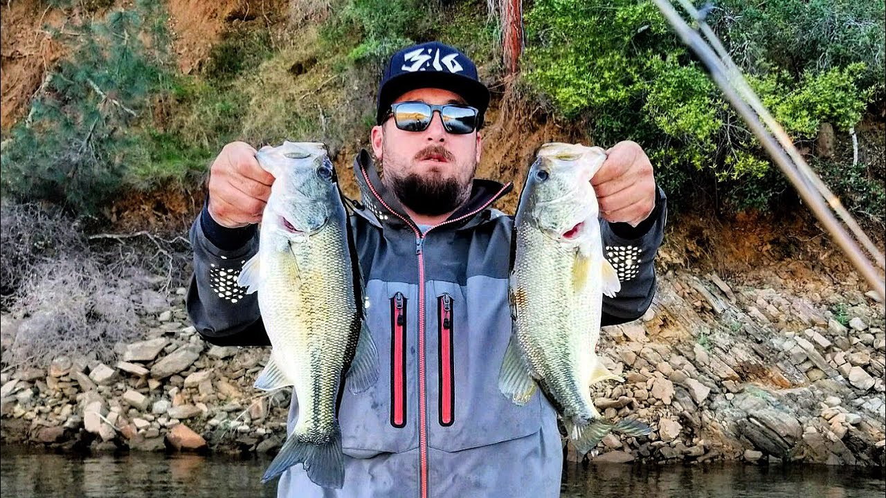 Bass Fishing Light Tackle Drop Shot Rigs At Lake Berryessa - YouTube