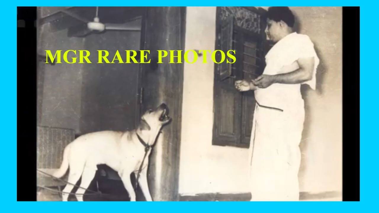 DR.MGR Rare Photo Collections - YouTube