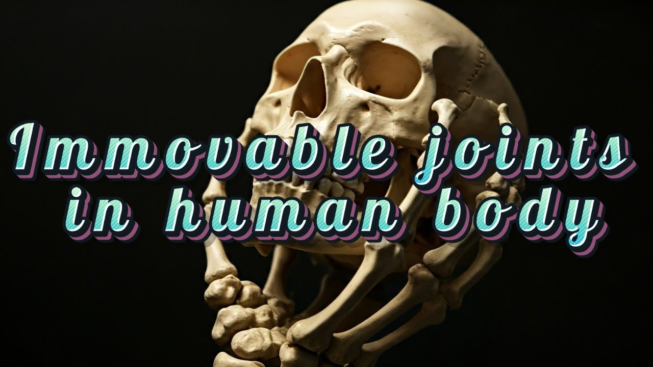 "immovable joints in the human body " immovable joints - YouTube