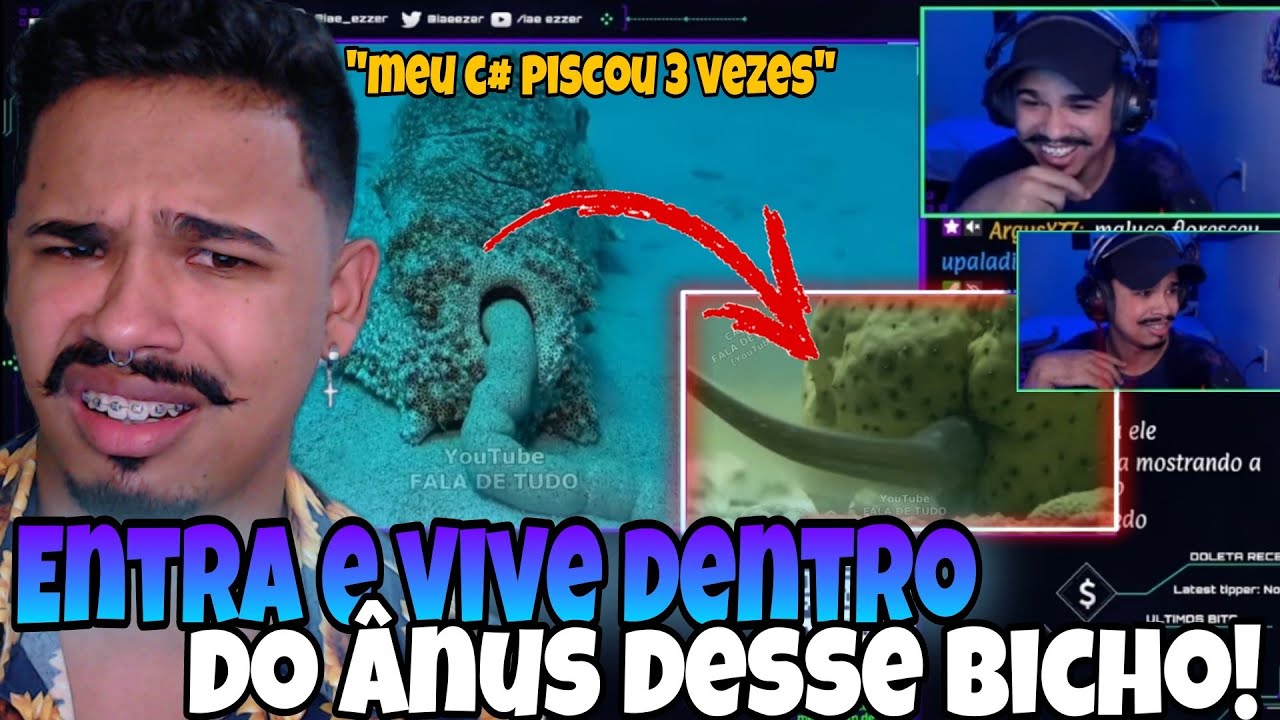 REACT 🔴 Os Bichos mais Estranhos e Bizarros do Mundo! Só Bicho FEIO ...