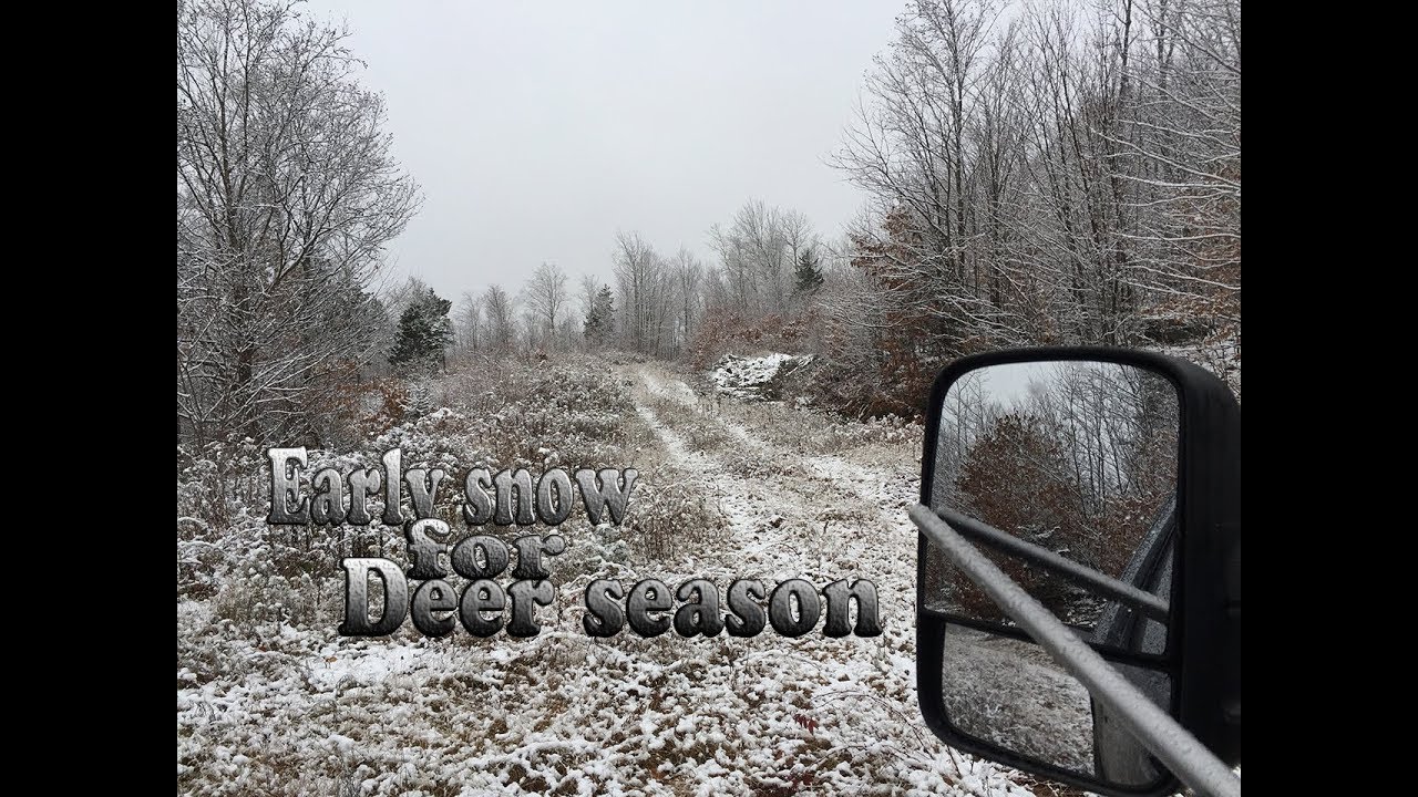 Early snow deer hunt 2019 - YouTube