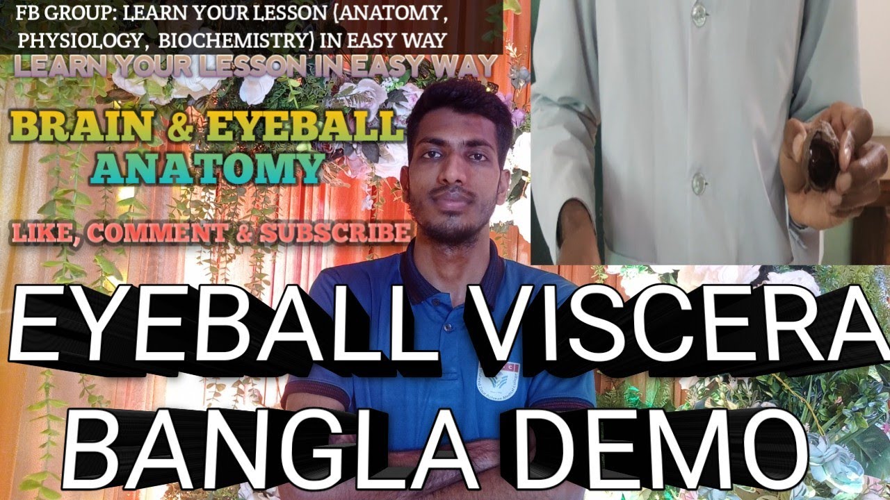 Eyeball Viscera Bangla Demonstration | Brain & Eyeball | | Anatomy | # ...