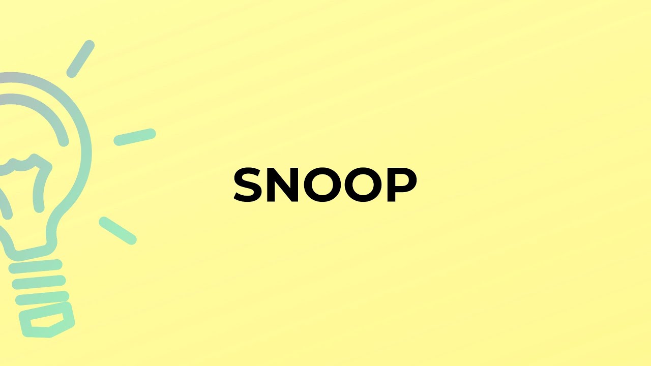 What is the meaning of the word SNOOP? - YouTube