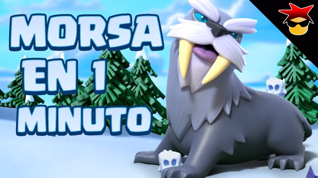 MORSA EN 1 MINUTO 🦭 ️ - YouTube