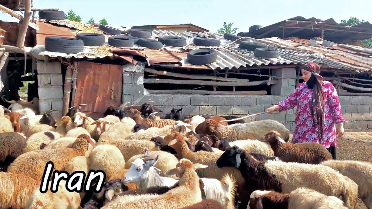 IRAN nomadic life | daily routine village life of Iran | Nomadic ...