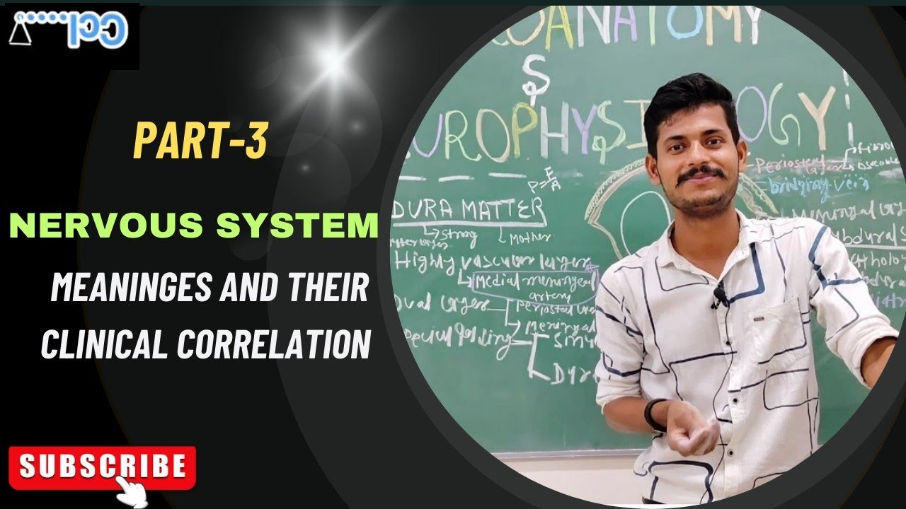 Meninges |Type | Structure | Function| Embryology| blood supply and ...