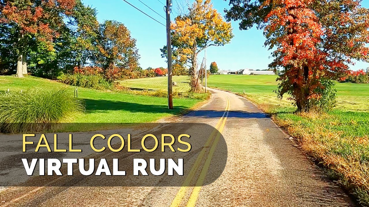 Beautiful Fall Day - Virtual Trail Run - New England - YouTube