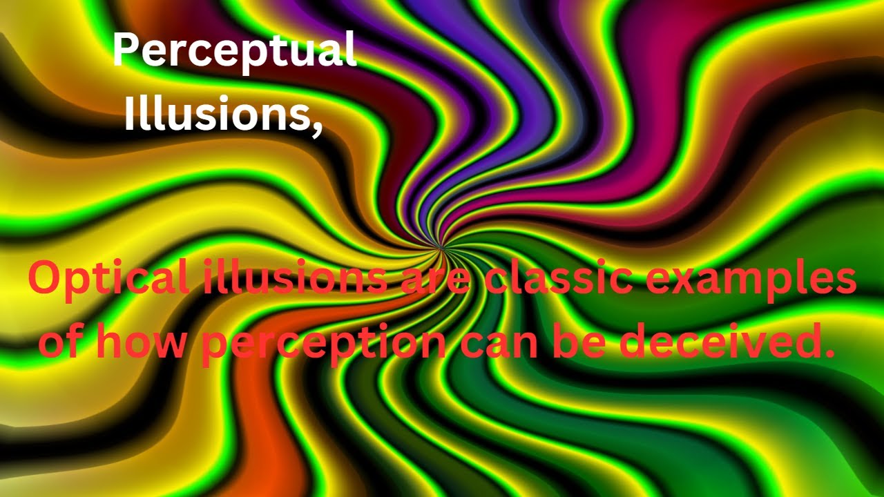 Title Through Different Eyes Exploring Perception - YouTube