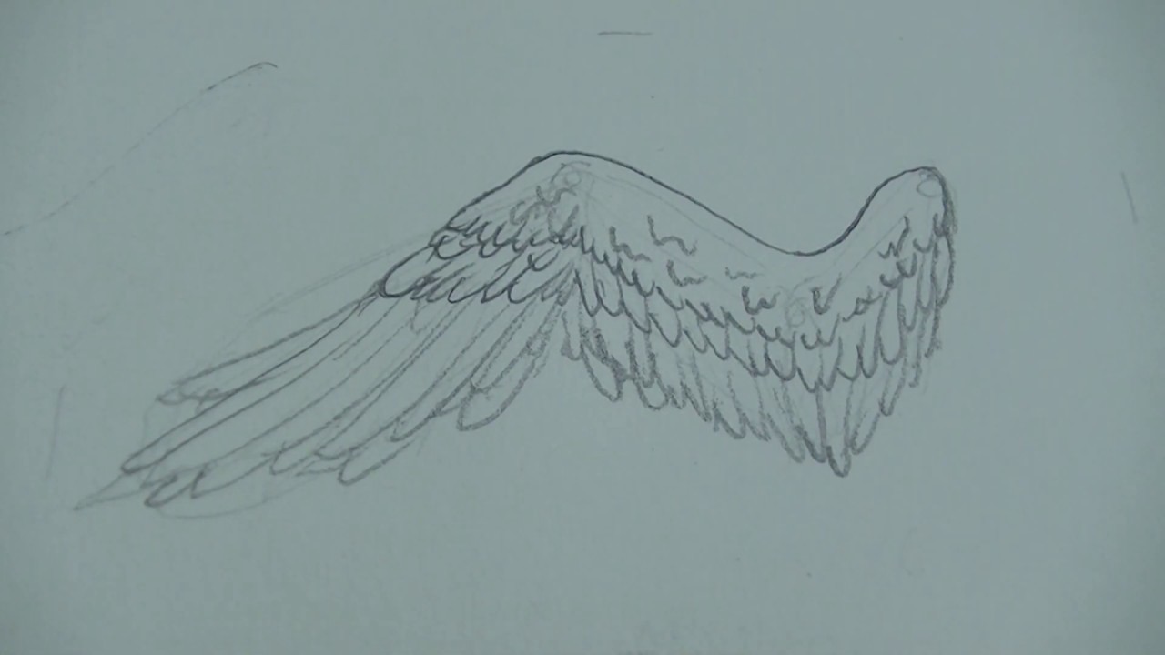 How to draw wing - YouTube