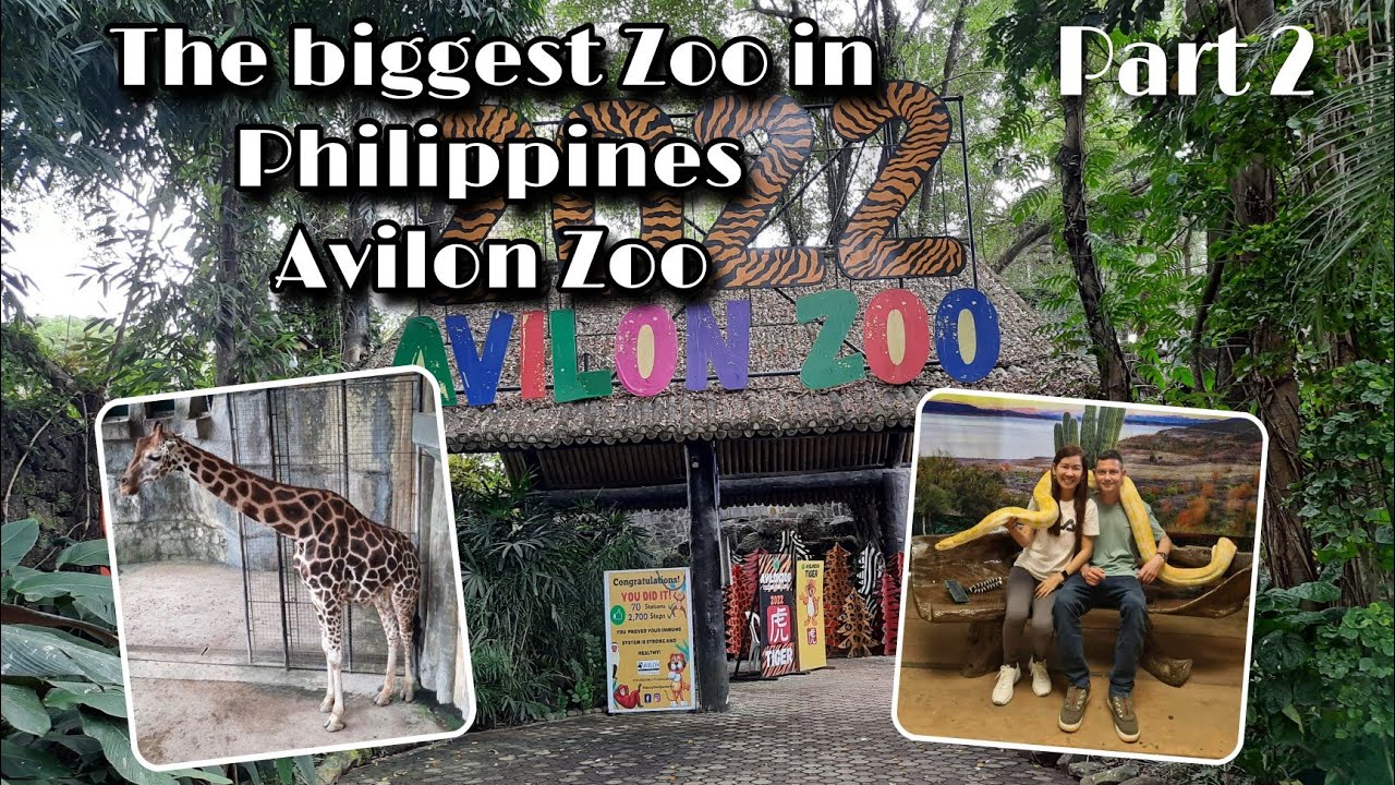 The biggest Zoo in Manila Avilon Zoo located at Montalban rizal - YouTube