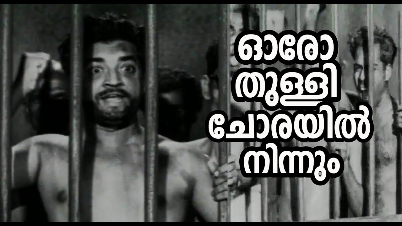 Oro Thulli Chorayil... | Malayalam Classic Movie | Mooladhanam | Movie ...