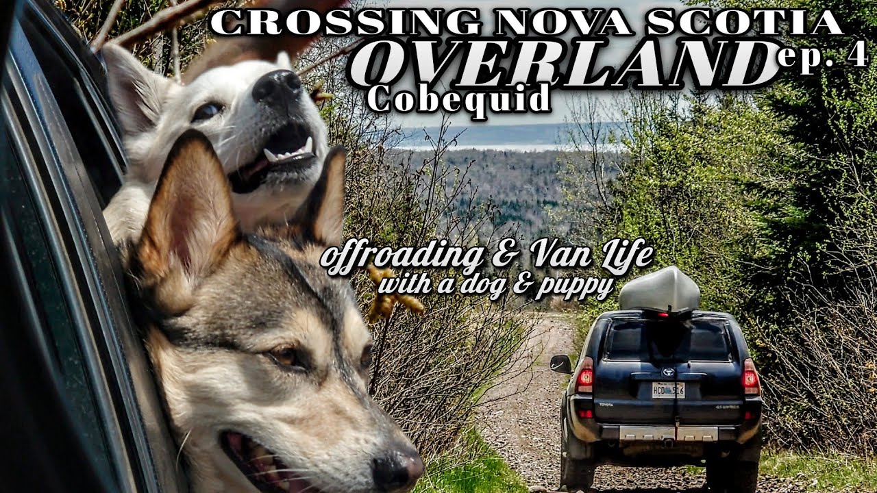 Overlanding Across Nova Scotia 4: Truck Camping Offroading in 4Runner ...