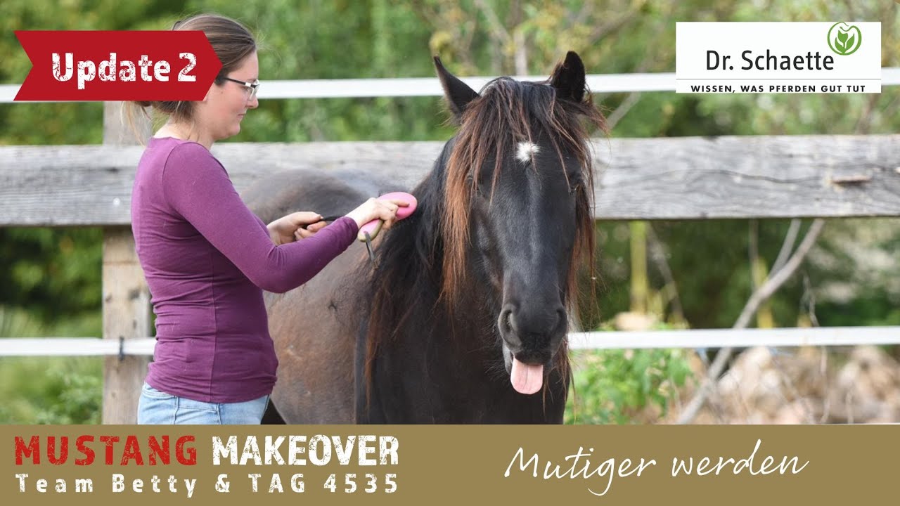 Der Weg zu einem mutigen Pferd🐎 -Team Betty | MUSTANG MAKEOVER 2023 ...