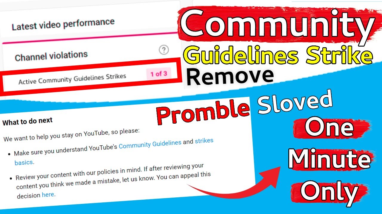 How To Appeal Community Guideline Strike | 1 Active Community ...