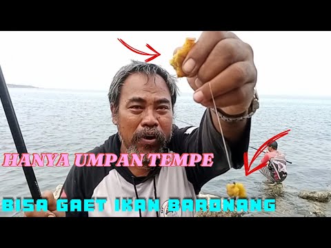 Spot favorit Mancing ikan baronang #mancinggarong #mancingbaronang  #jorantegek #tegekkaku #tegek