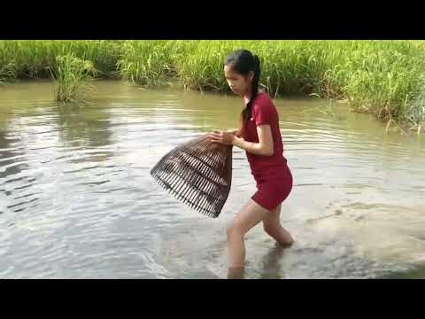Amazing beautiful girl Fishing in Cambodia   How to Catch Fish at battambang