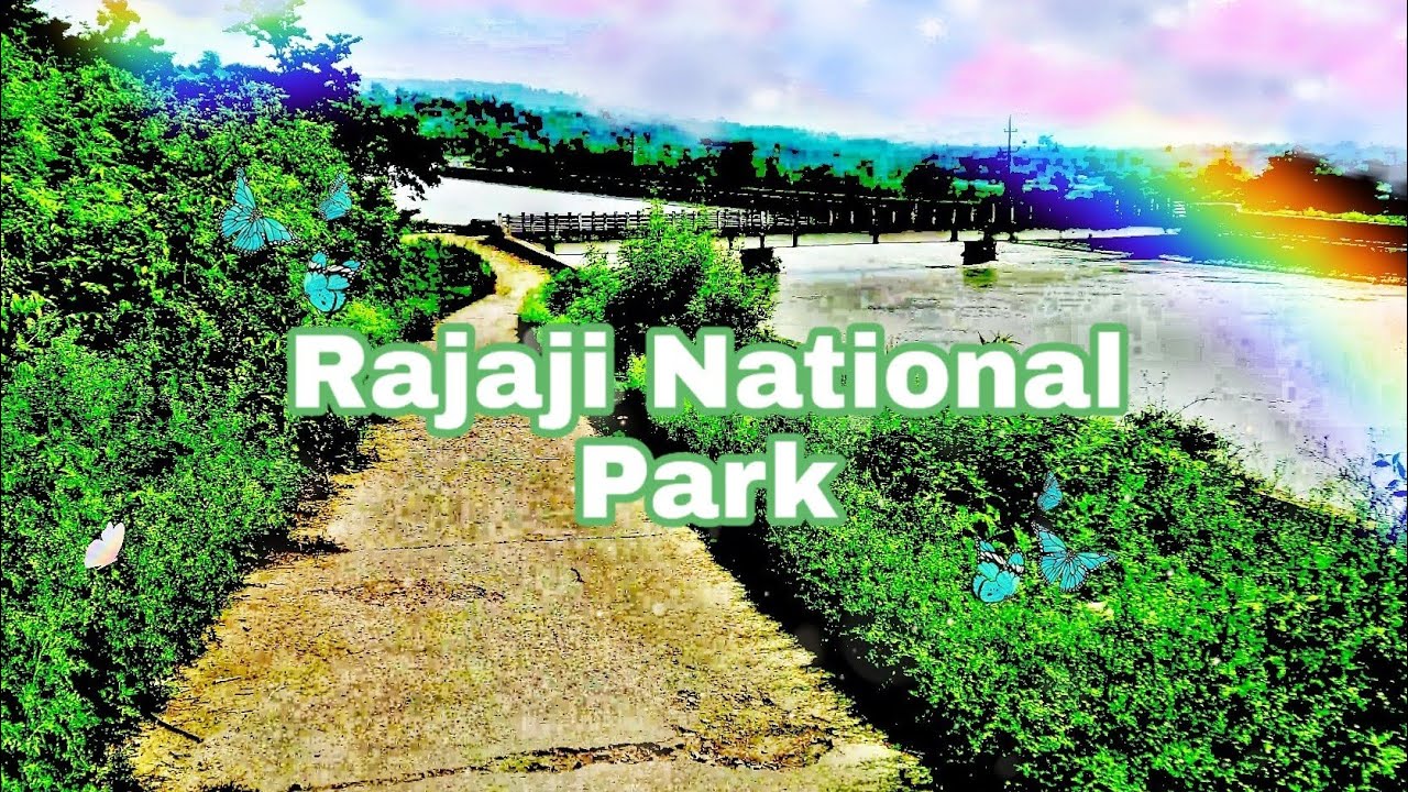 Chila forest road Rishikesh to Haridwar || Road work kumbh mela 2021 ...