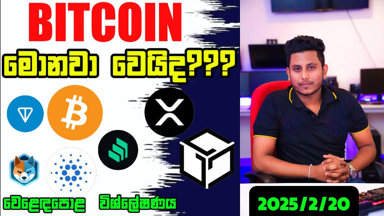 BITCOIN මොනවා වෙයිද??? |Feb 20 |BITCOIN + ALT COINS | Live Update | ROG CRYPTO - YouTube