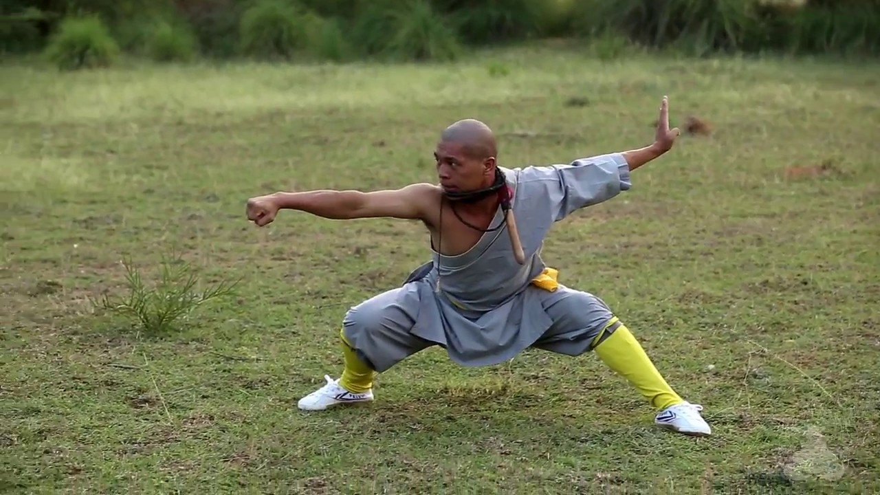Shi Yan Long Shaolin Whip - YouTube