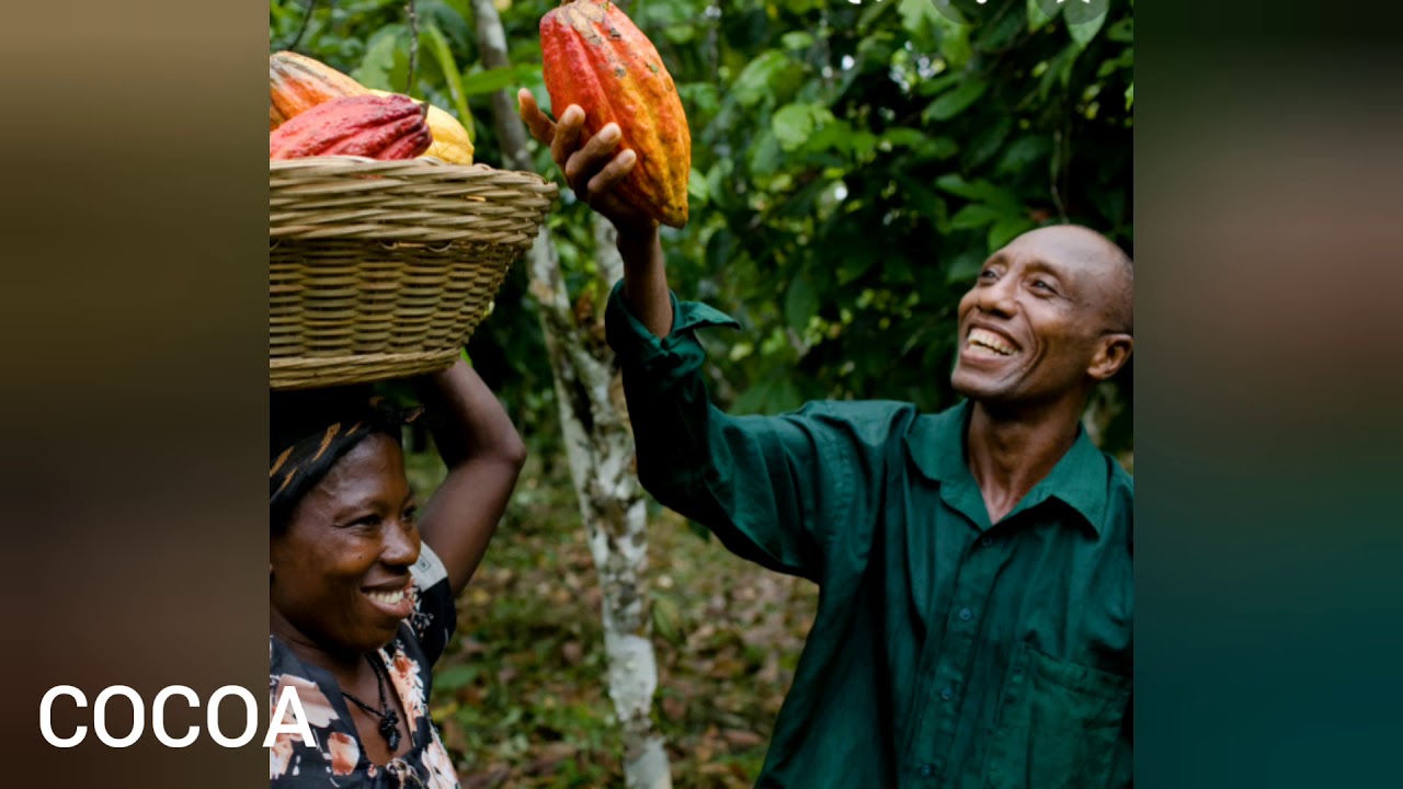 NATURAL RESOURCES IN GHANA YouTube natural-resources-in-ghana-youtube