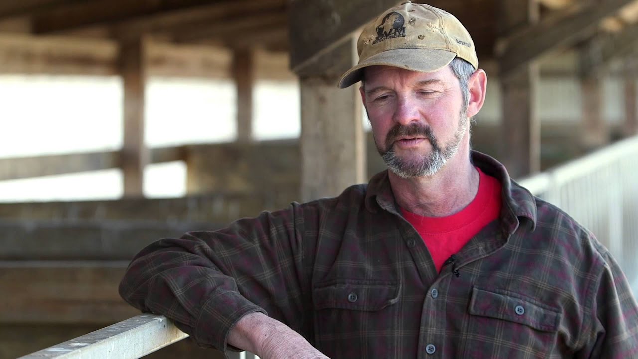 Maryland & Virginia Milk Producers Cooperative Association – Kyle ...