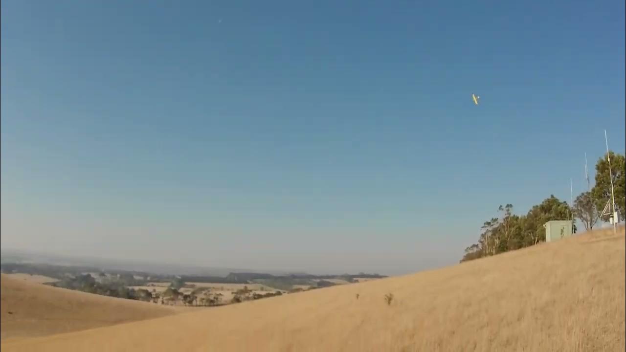 Lazy DS laps on a sunny summer afternoon noon in Australia - YouTube