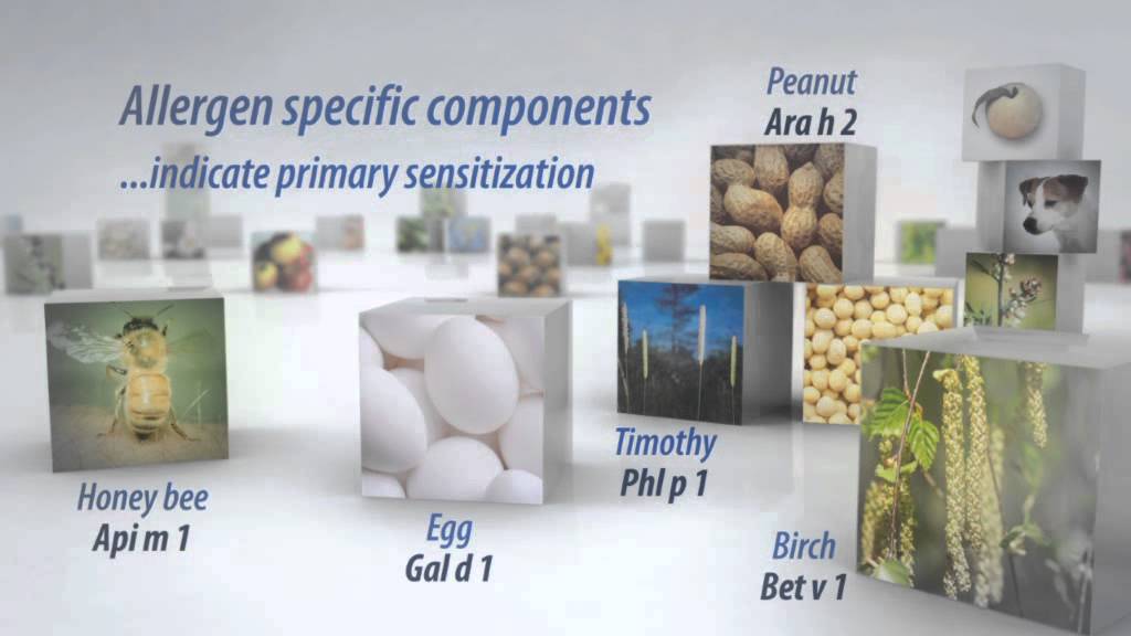 Molecular Allergology Explained - YouTube