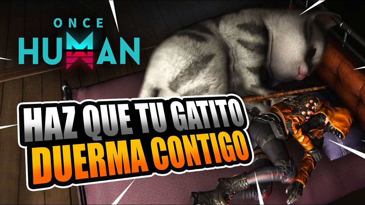 ¡DUERME CON TU GATO! Deviant Extradimensional Cat en Once Human - YouTube