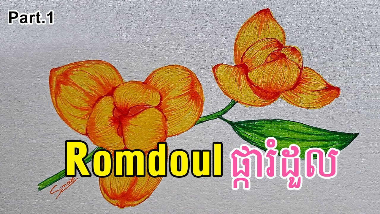 How to Draw Romdoul Flower Part.1 / ផ្ការំដួល/ National Flower # ...