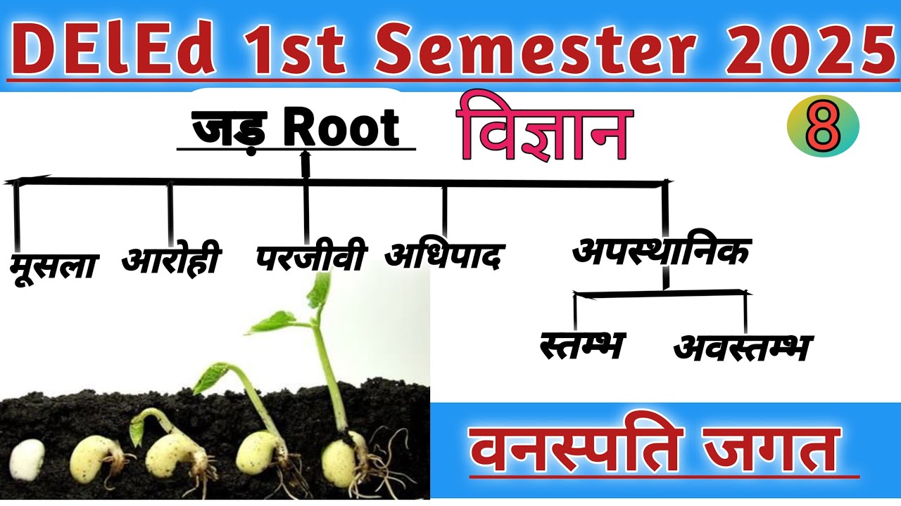 DELED 1st semester Science/विज्ञान/up BTC 1st semester/plant roots and ...
