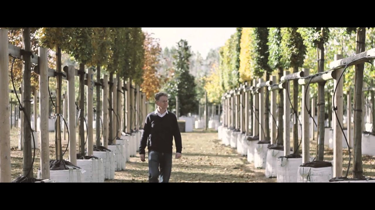 Who are Barcham Trees? - YouTube