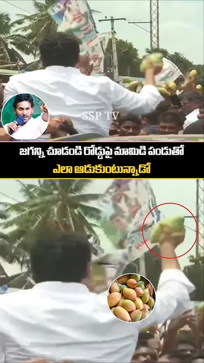 YS Jagan Visuals At Andhra pradesh | Pawan Kalyan | CM ChandraBabu Naidu | SSP TV - YouTube