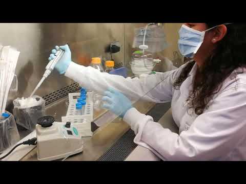 ASTM E3160 - Pour Plate - YouTube