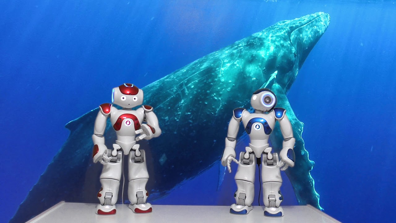 Fun Fact Friday: Ep.5 Whales Sing & Fart - YouTube