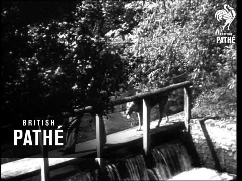 Personality Meet Lord Vansittart (1945) - YouTube