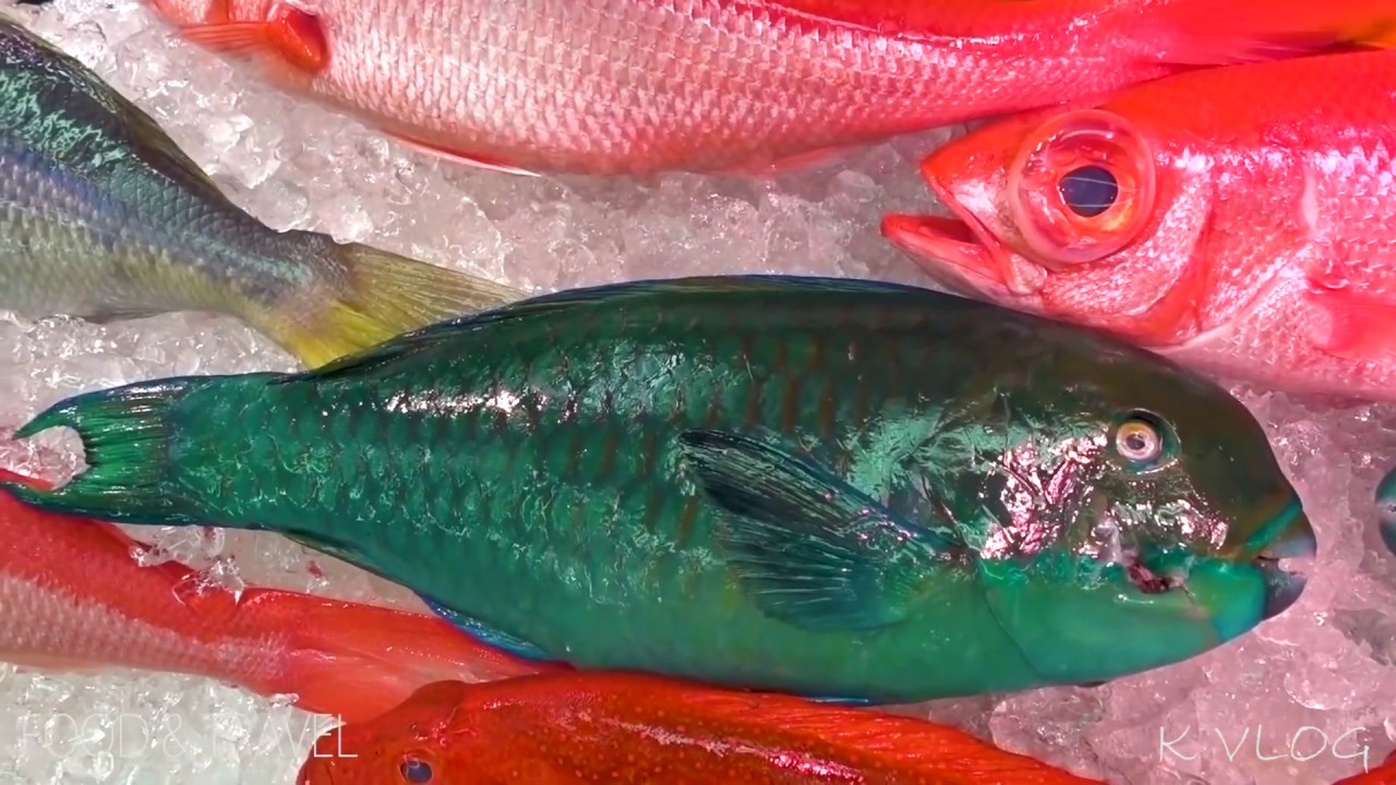 Blue fish! Parrot Fish Sashimi Japanese Street Food in Okinawa - YouTube